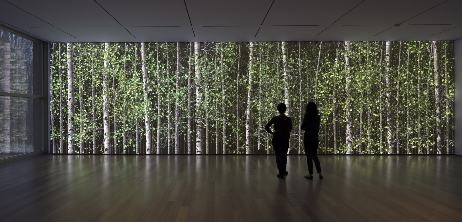 The Blind Eye | Interviews from Yale University Radio WYBCX