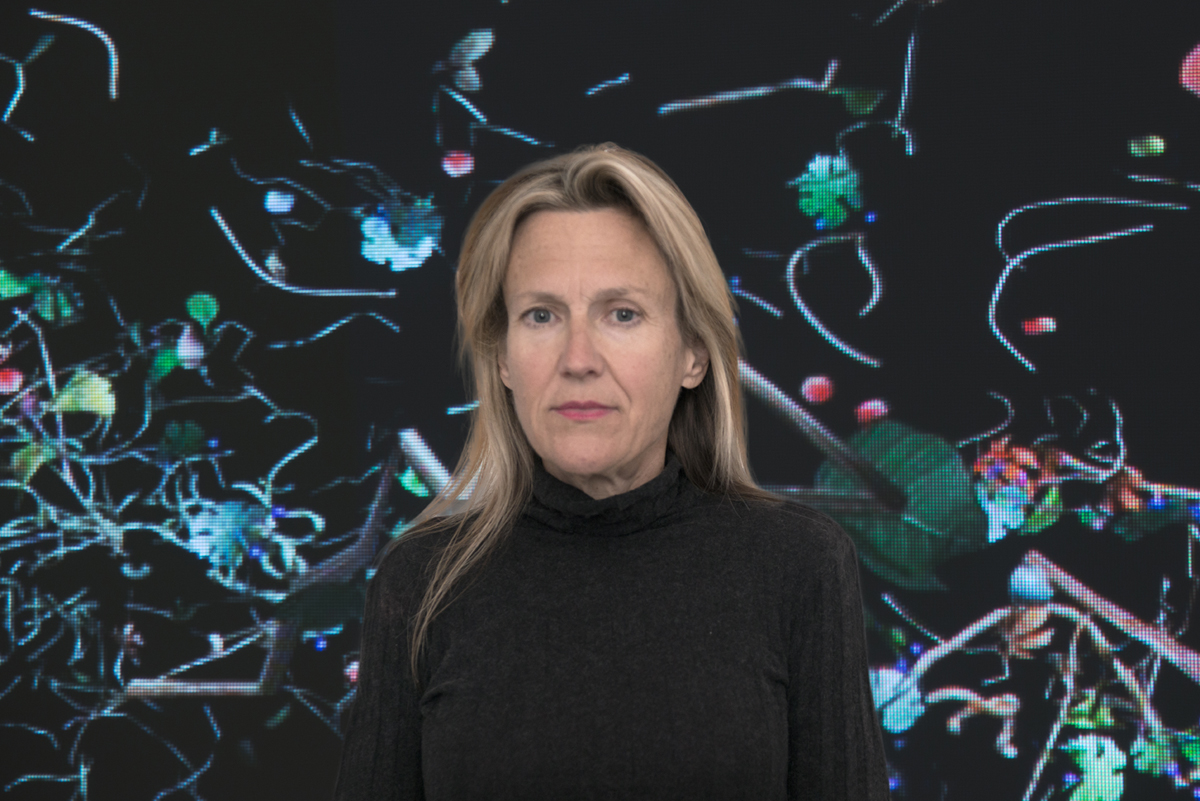 Jennifer Steinkamp | Interviews from Yale University Radio WYBCX